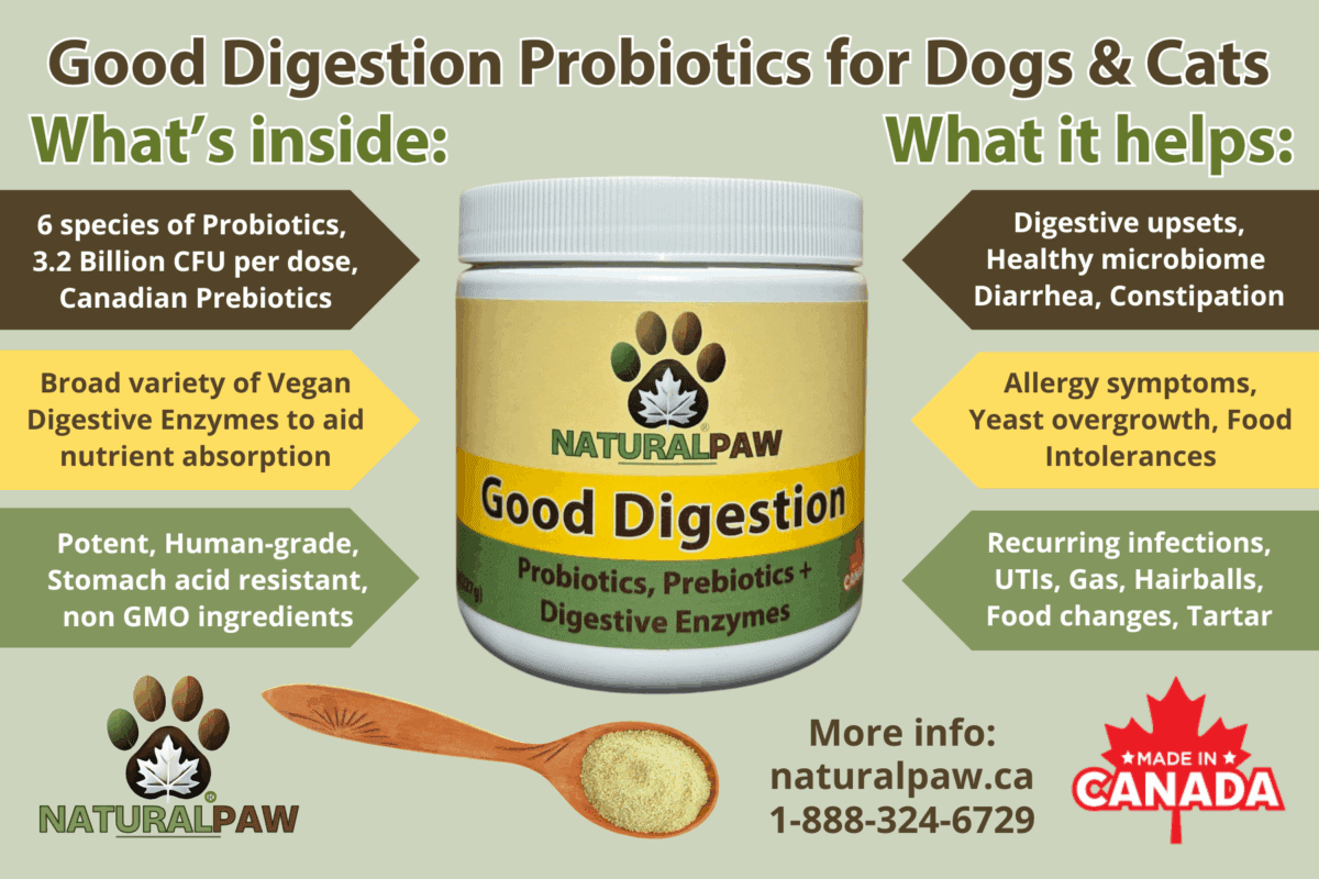 Good Digestion – Probiotics, Prebiotics & Digestive Enzymes for Dogs ...
